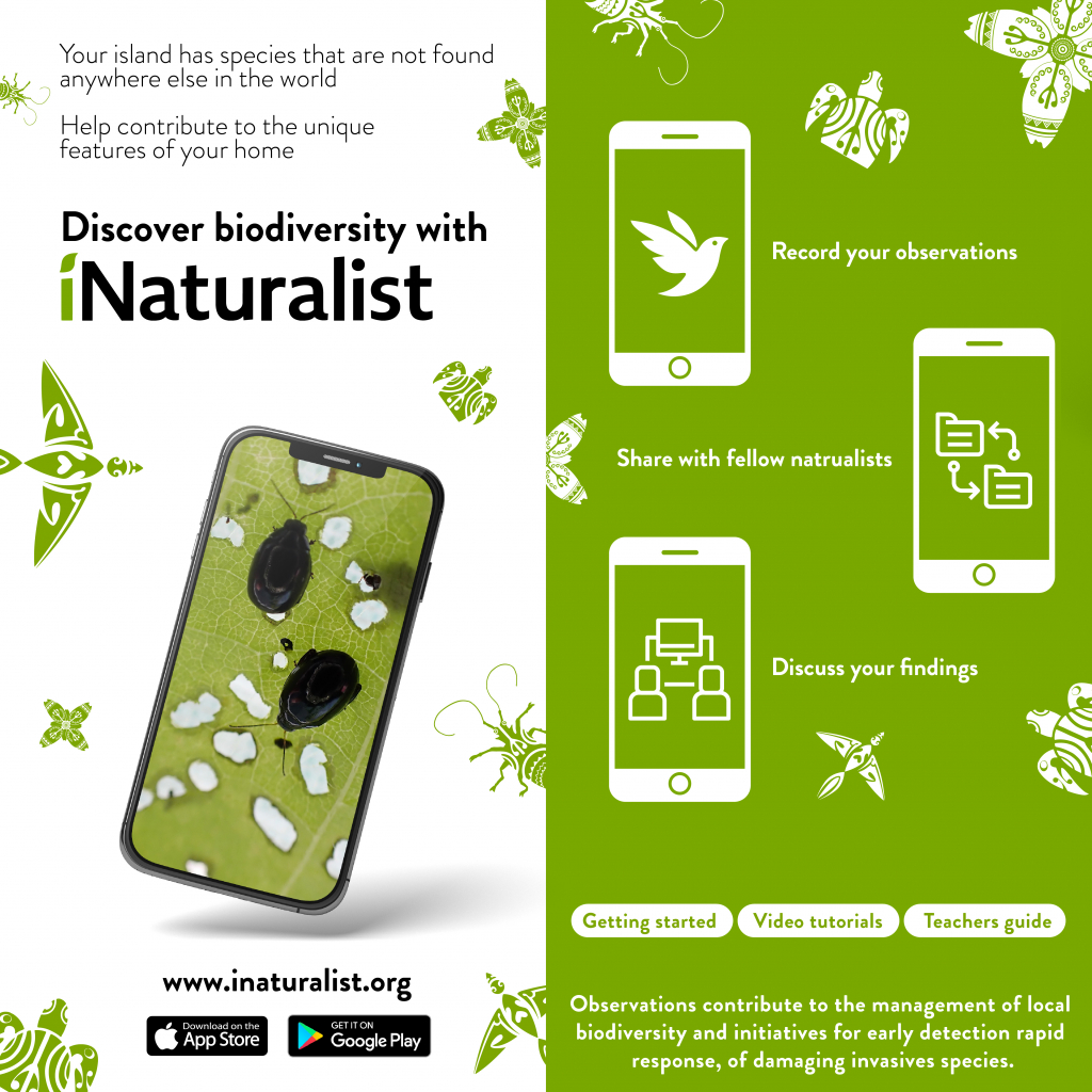 Early Warning System For New Invasive Species Launched Using INaturalist! - PBIF